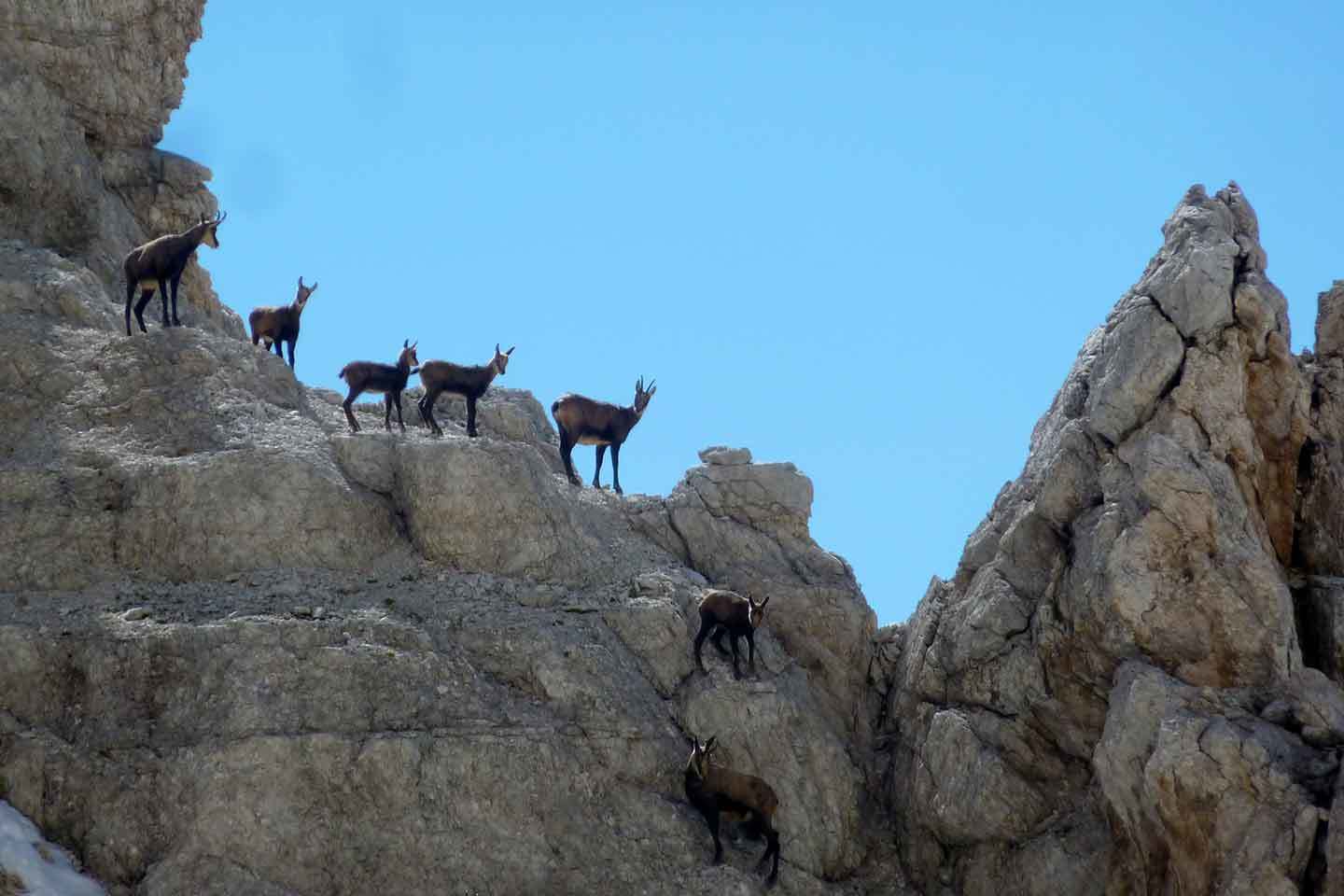 Dolomite High Route no. 4 - Powrock