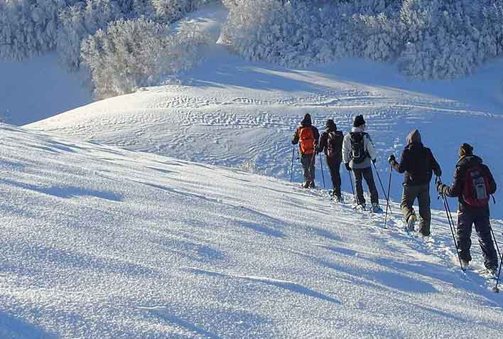 Book your Mountain Guide - Powrock